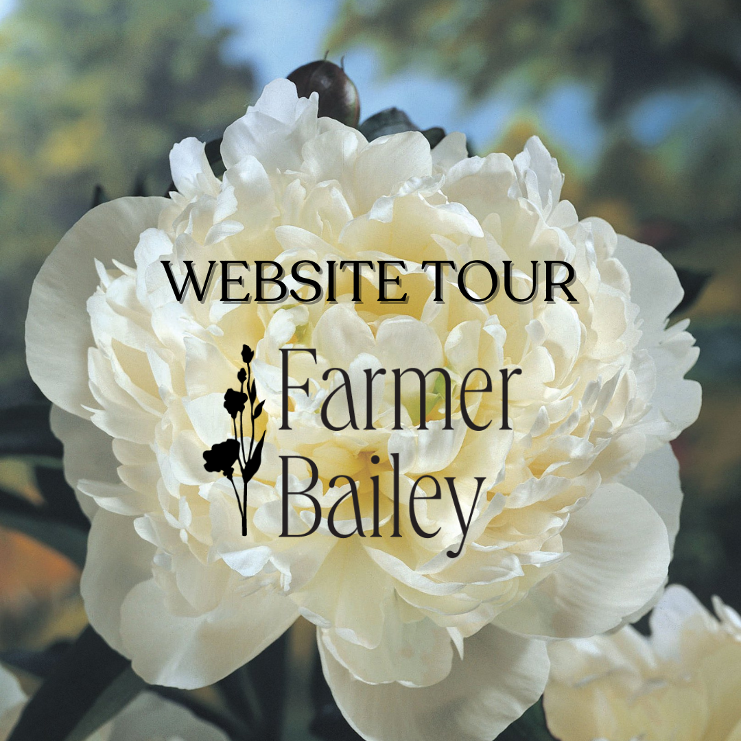 How to Shop Farmer Bailey – Farmer Bailey Inc.
